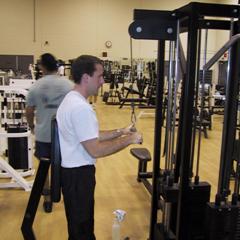 Triceps Pull-Down